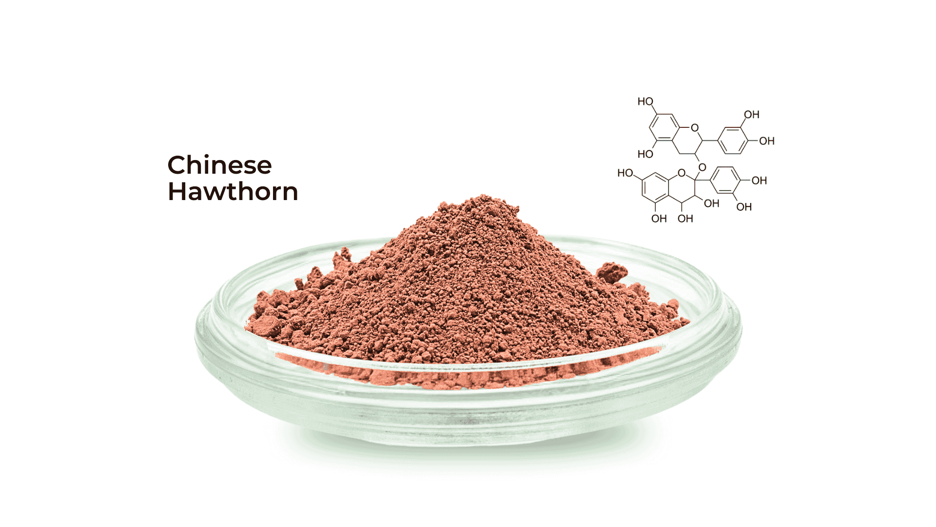 Chinese Hawthorn – Marco's Grounds